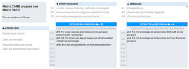 Cómo hacer un Análisis CAME Paso a Paso 🥇 [Matriz + Ejemplo]